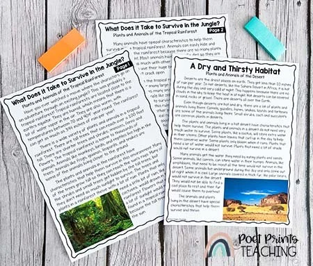 Teaching Animal Adaptations - Science for Kids — Poet Prints Teaching
