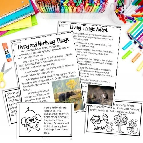 Animal and Plant Adaptations - Science for Kids — Poet Prints Teaching