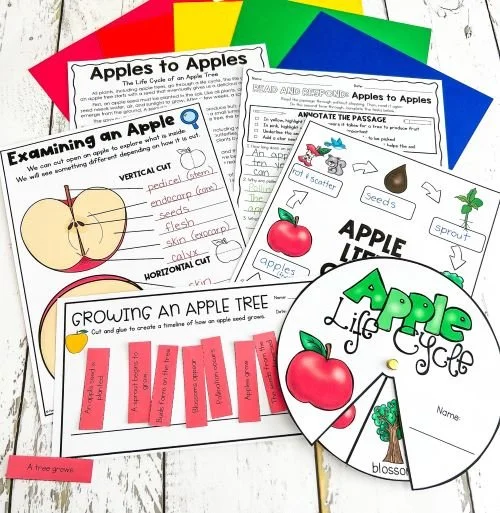 Apple Activities for Second and Third Grade — Poet Prints Teaching