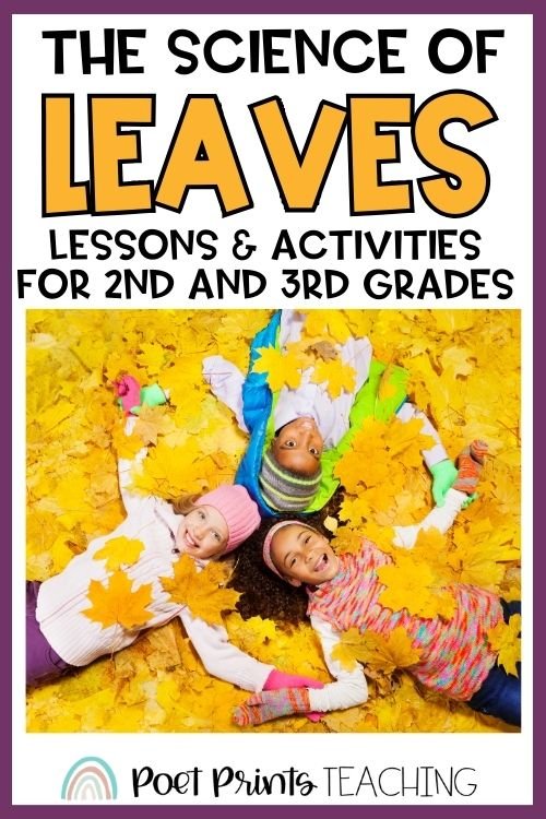 Leaves Activities for Second and Third Grade — Poet Prints Teaching