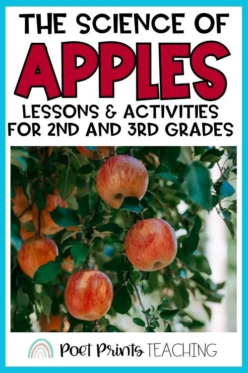 Apple Activities for Second and Third Grade — Poet Prints Teaching