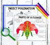 Pollination Activities for Elementary Science — Poet Prints Teaching