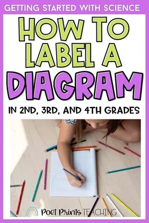 How to Label a Scientific Diagram for Kids — Poet Prints Teaching