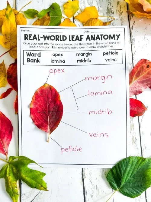 Poet Prints Teaching Blog — Poet Prints Teaching