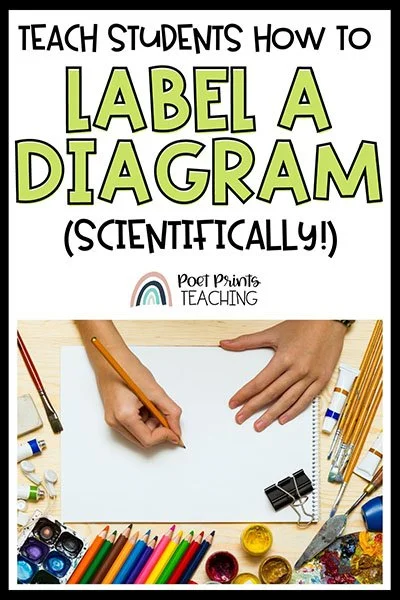 How to Label a Scientific Diagram for Kids — Poet Prints Teaching