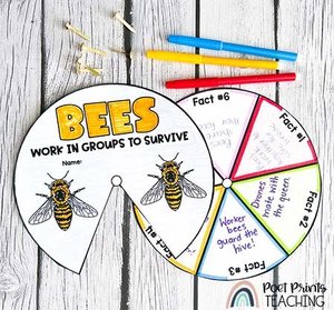 Animals That Live in Groups - Third Grade Science — Poet Prints Teaching