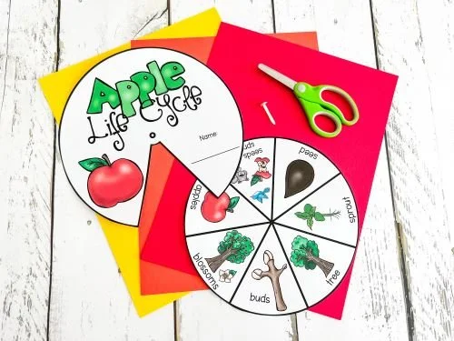 Apple Activities for Second and Third Grade — Poet Prints Teaching