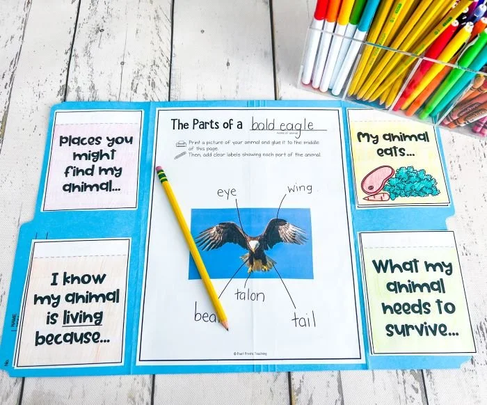 Animal and Plant Adaptations - Science for Kids — Poet Prints Teaching