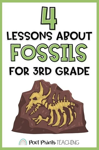 4 Lessons About Fossils for 3rd Grade — Poet Prints Teaching