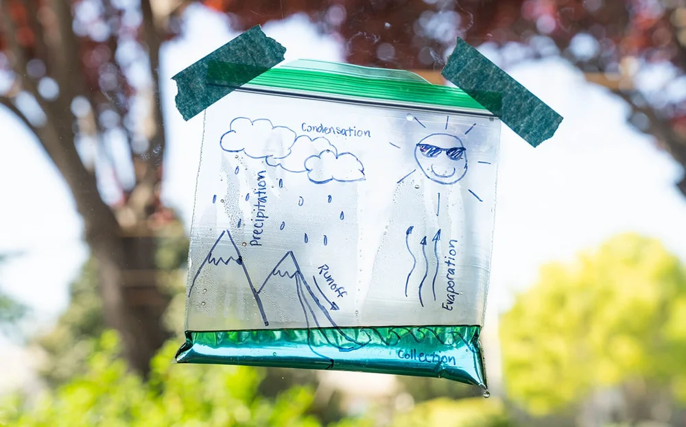 Water on Earth Activities for Kids — Poet Prints Teaching