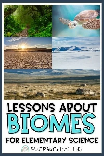 Around the World - Ideas for a Biomes Lesson Plan — Poet Prints Teaching