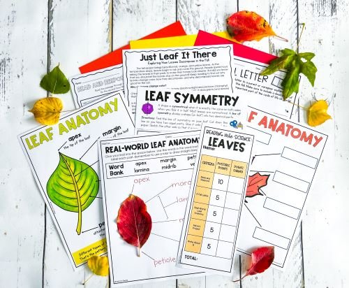 Fall Science Ideas and Activities for 2nd and 3rd Grade — Poet Prints ...