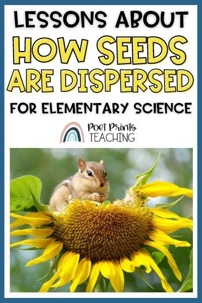 How Seeds Disperse - Elementary Science Activities — Poet Prints Teaching