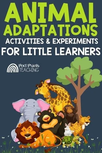 Animal and Plant Adaptations - Science for Kids — Poet Prints Teaching