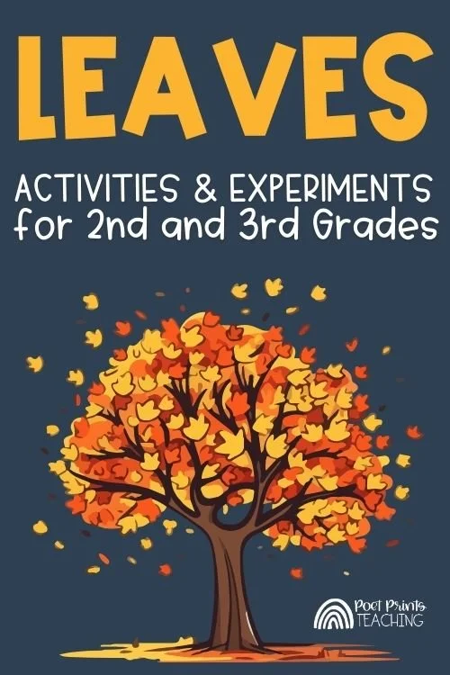 Leaves Activities for Second and Third Grade — Poet Prints Teaching