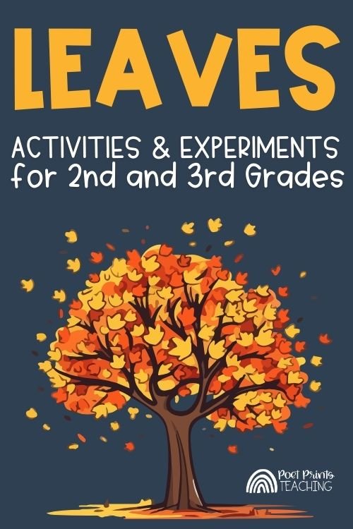 Leaves Activities for Second and Third Grade — Poet Prints Teaching