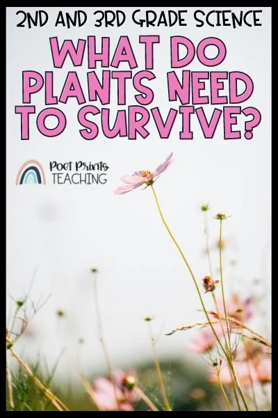 What Do Plants Need to Survive? — Poet Prints Teaching