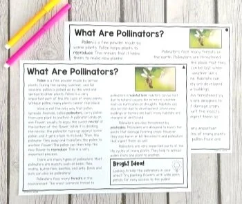 Poet Prints Teaching Blog — Poet Prints Teaching