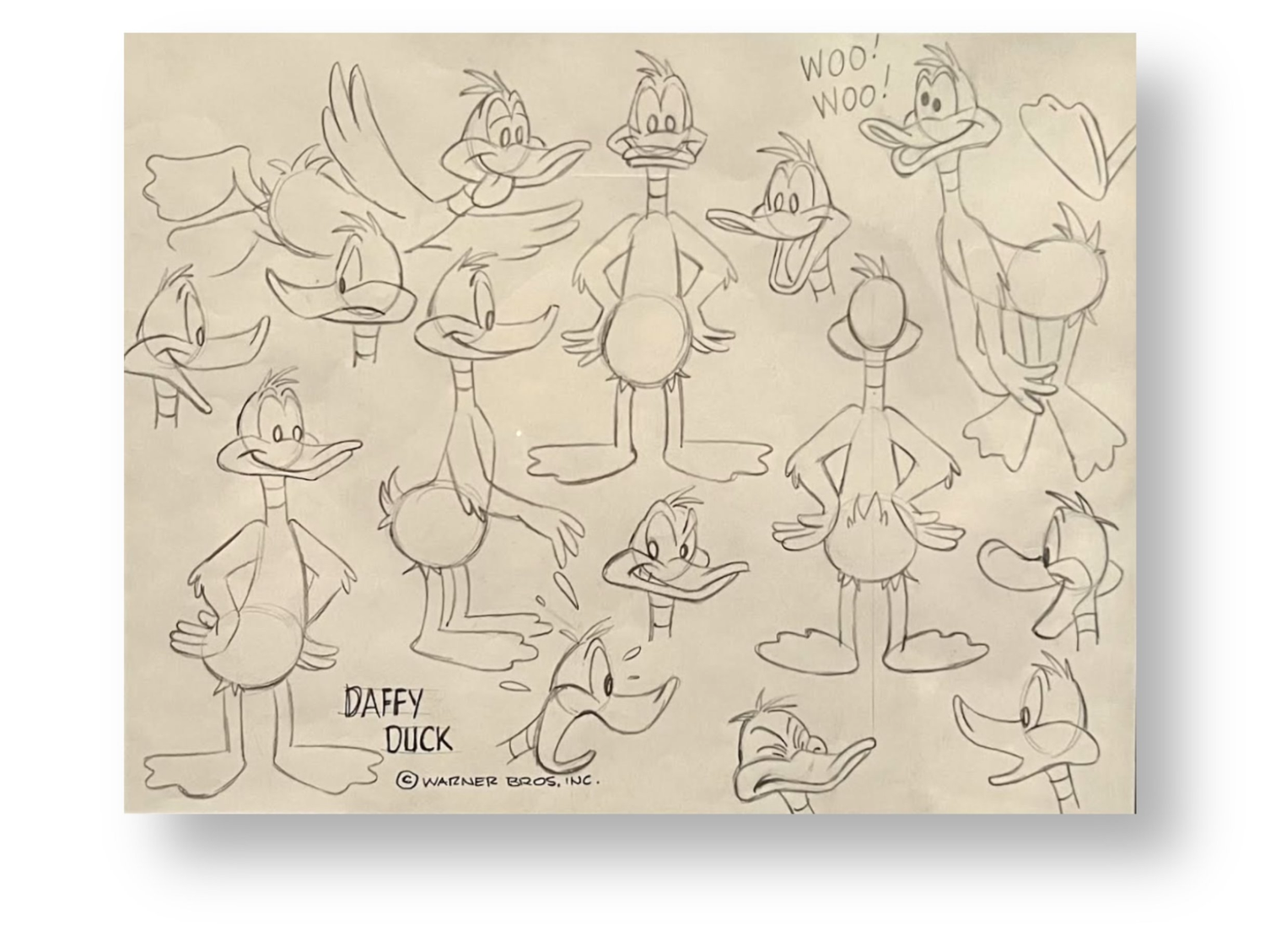 Warner Brothers — Animazing Gallery