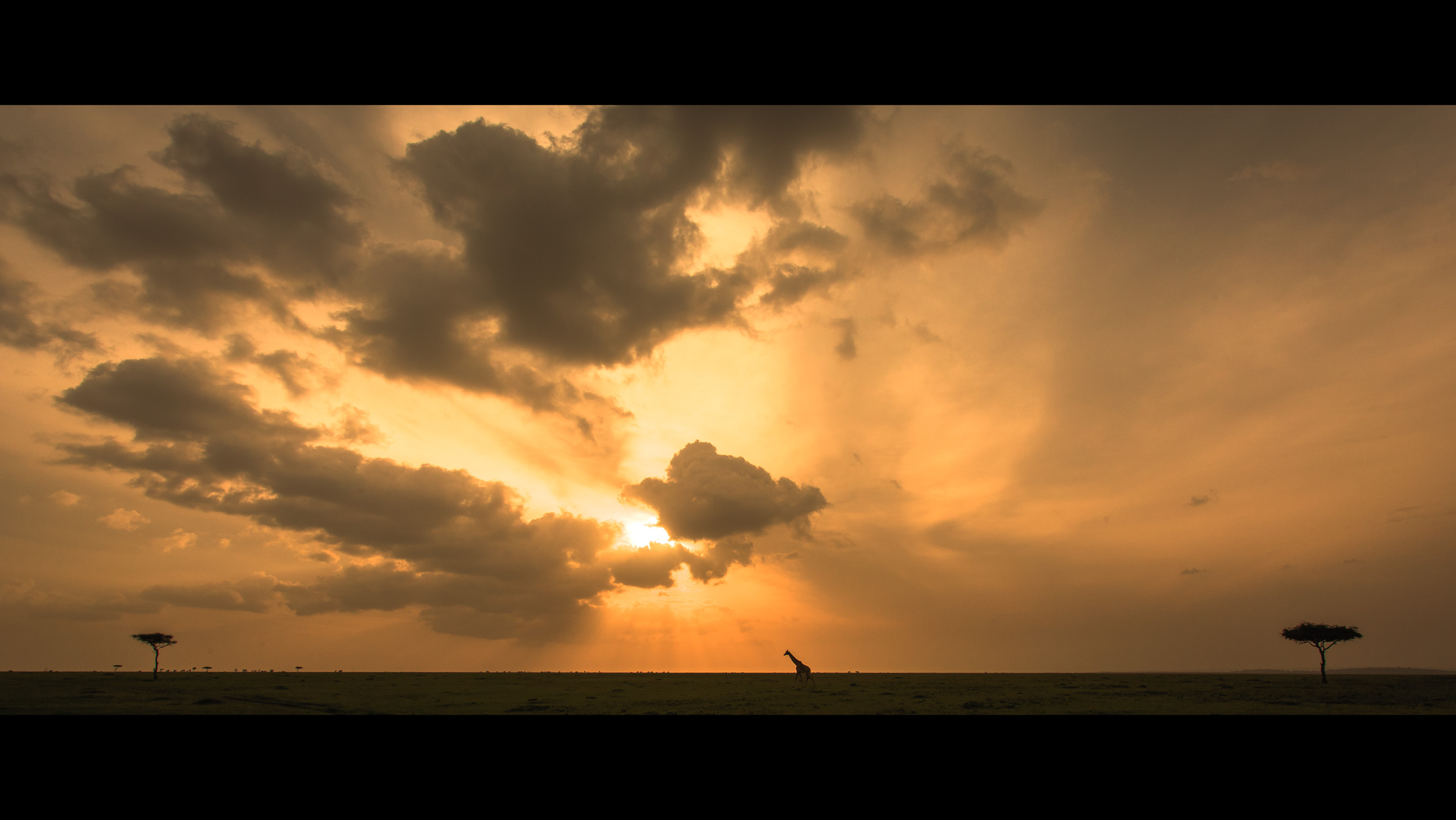 Africa — Clifford Pickett Photography