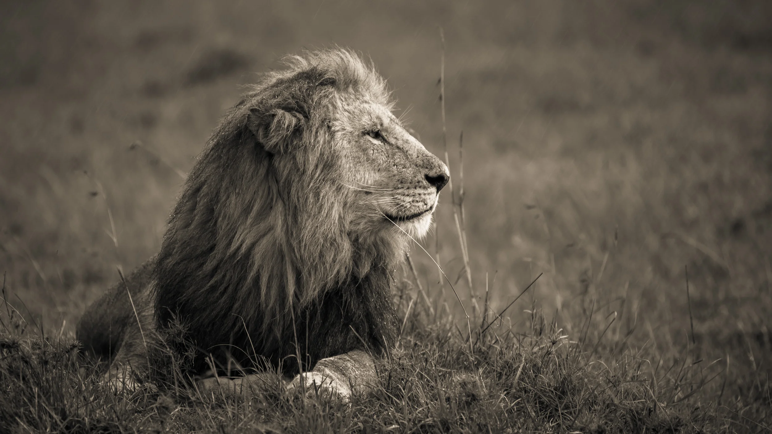 Africa — Clifford Pickett Photography