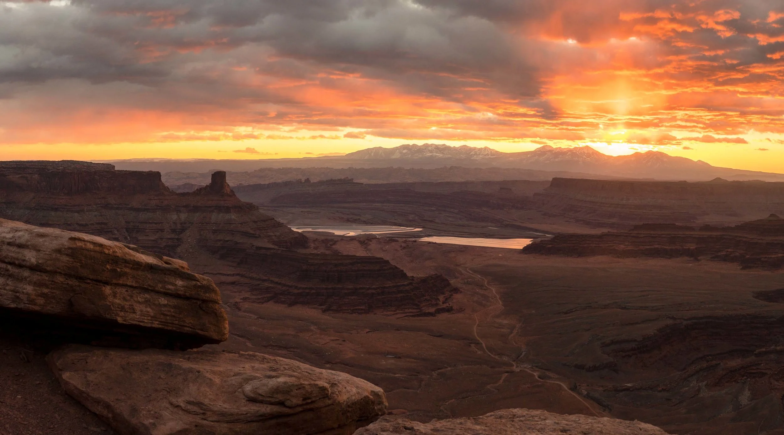 New Gallery — Clifford Pickett Photography