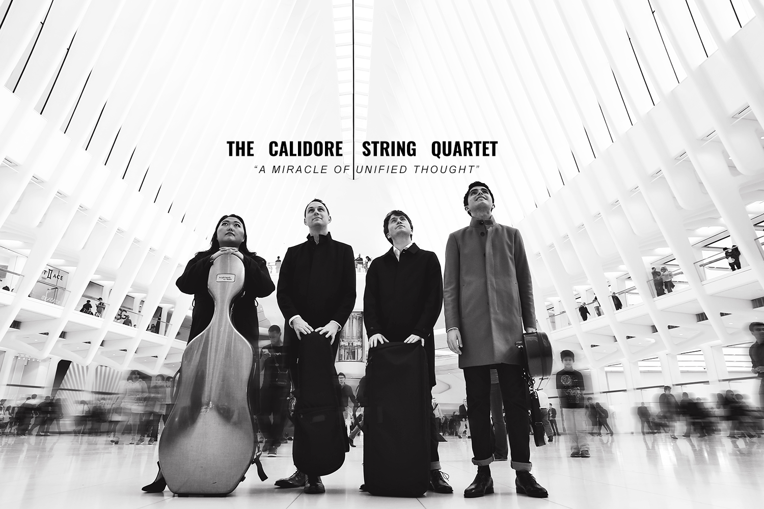The Calidore String Quartet