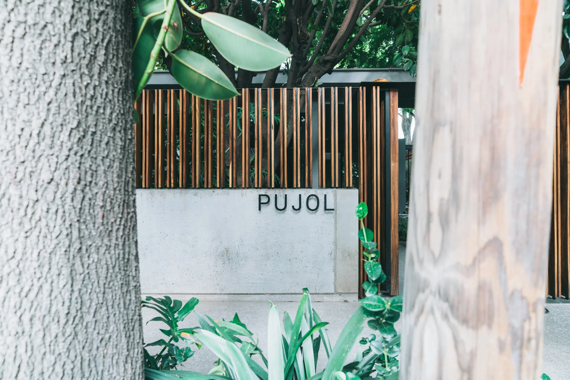 Mexico City's Pujol and the Incredible 1,345 Day Old Mole — Project Murray