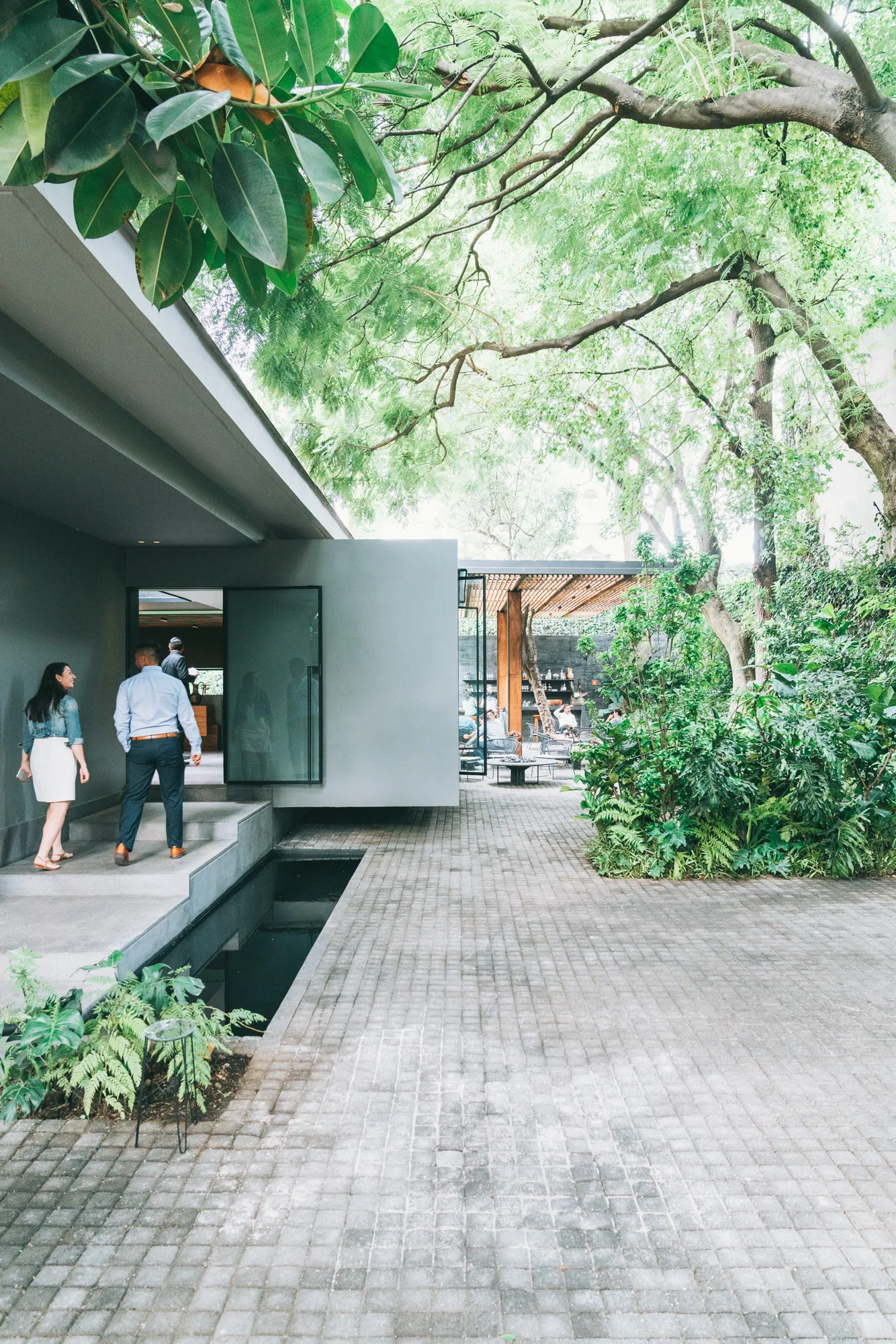 Mexico City's Pujol and the Incredible 1,345 Day Old Mole — Project Murray