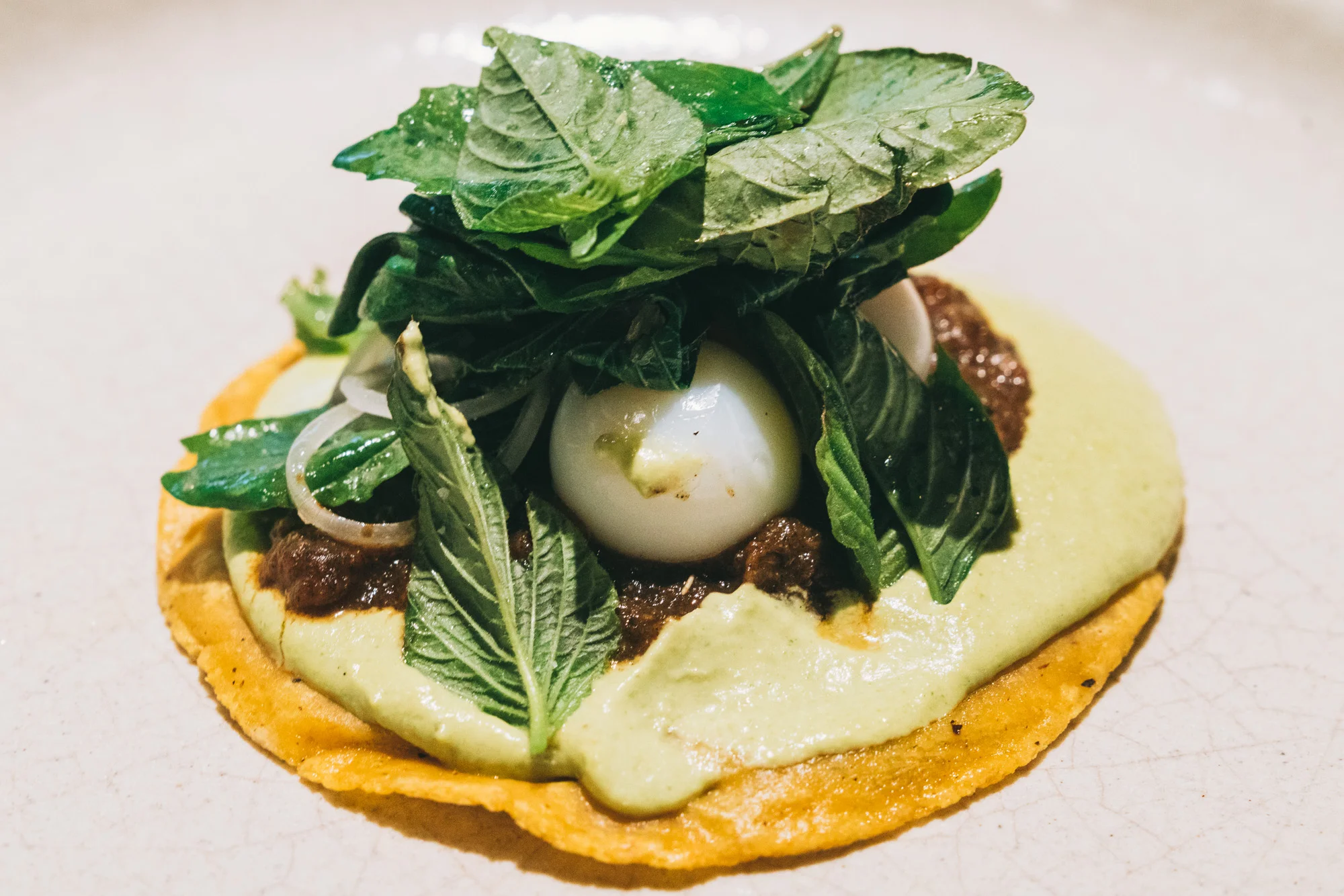 Mexico City's Pujol and the Incredible 1,345 Day Old Mole — Project Murray