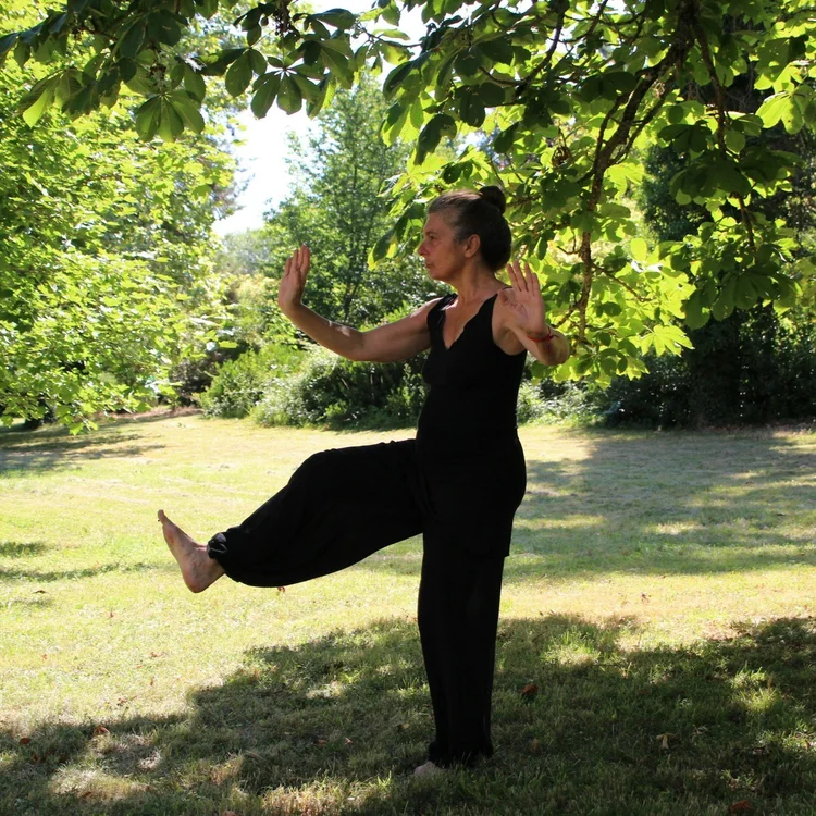 Yoga and Fitness in the Hudson Valley — STONE WAVE YOGA