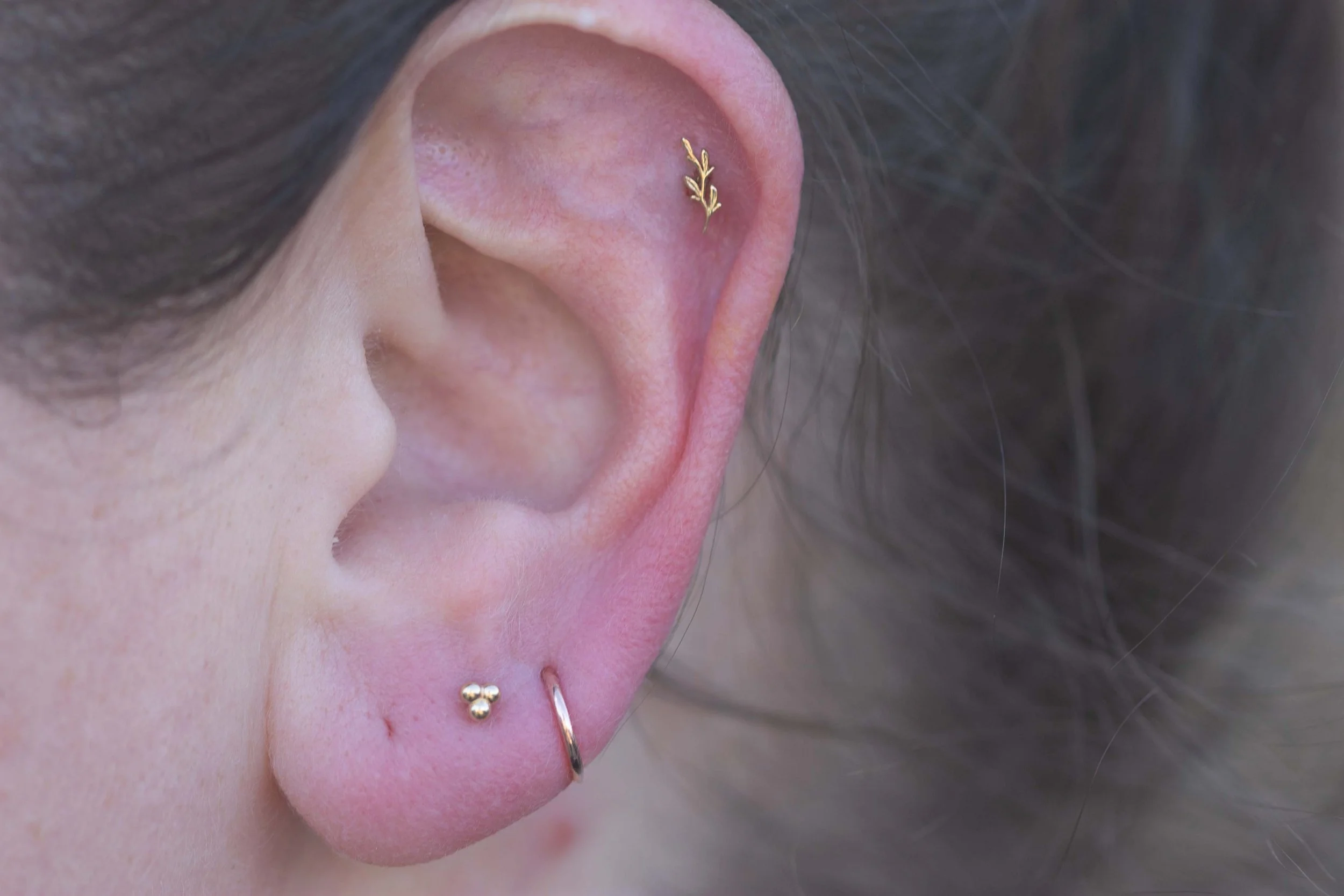 Ear Styling — Black Maple Piercing