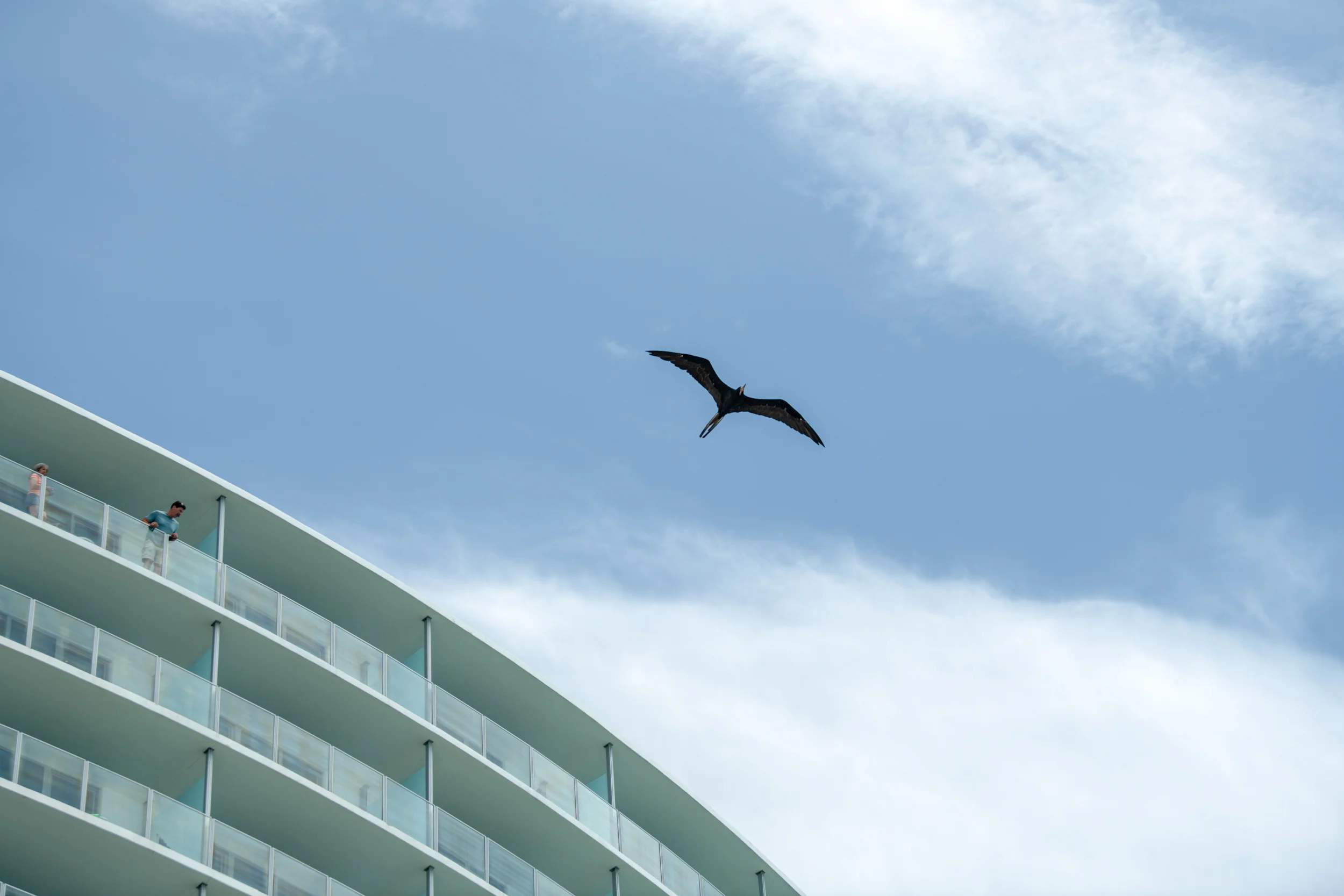 A trip to Tampa, Florida (Part 2) — Tyler Harney Photography