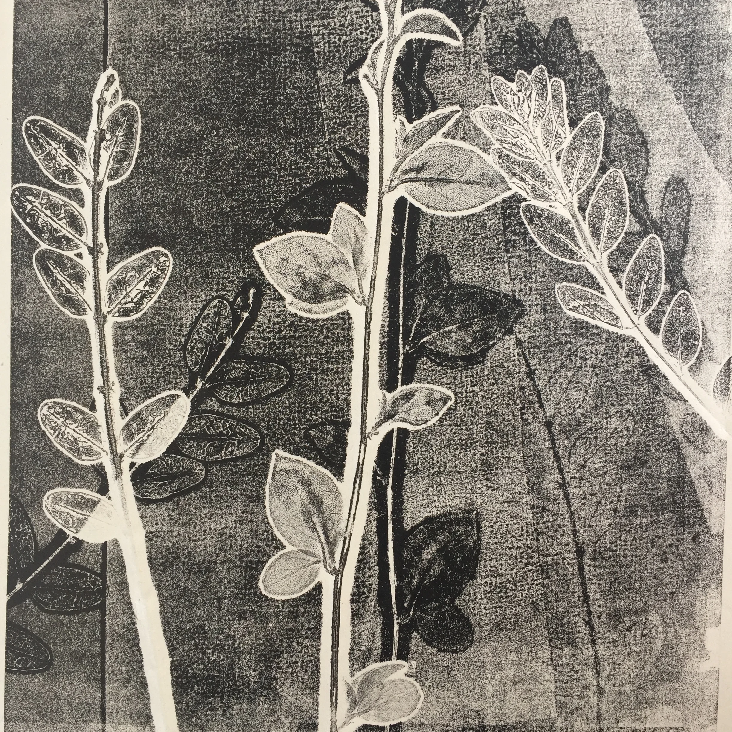 mono printing — No5workshops