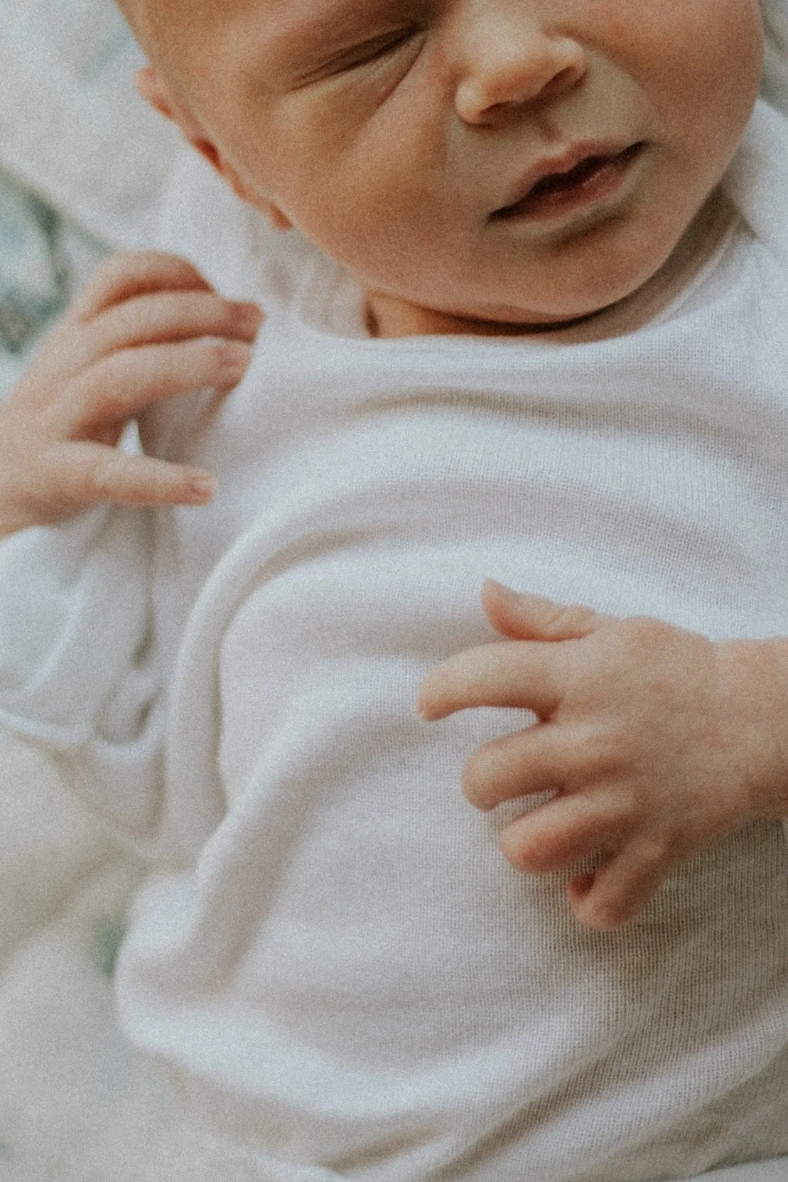 portfolio — Grace Mize