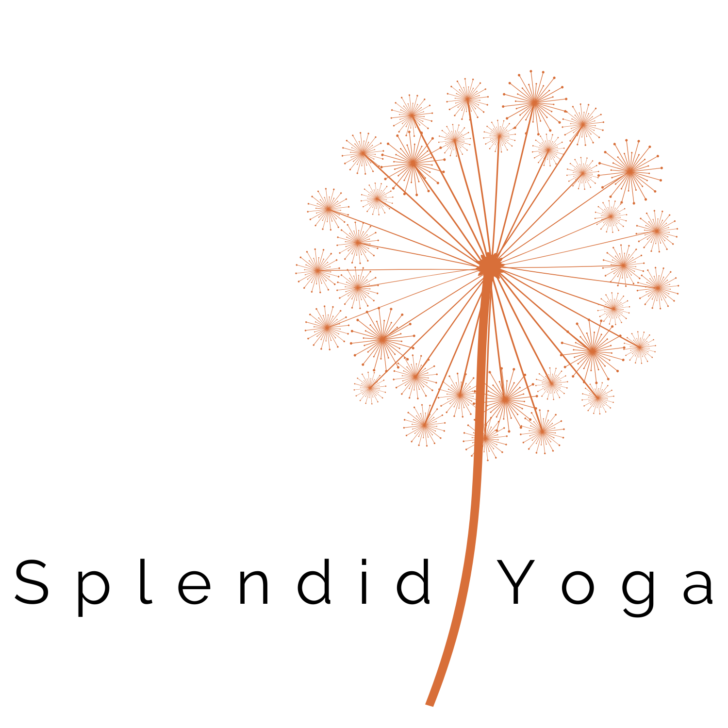 Work With Me — Splendid Yoga