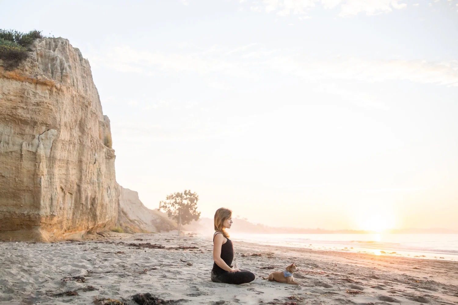 Splendid Yoga