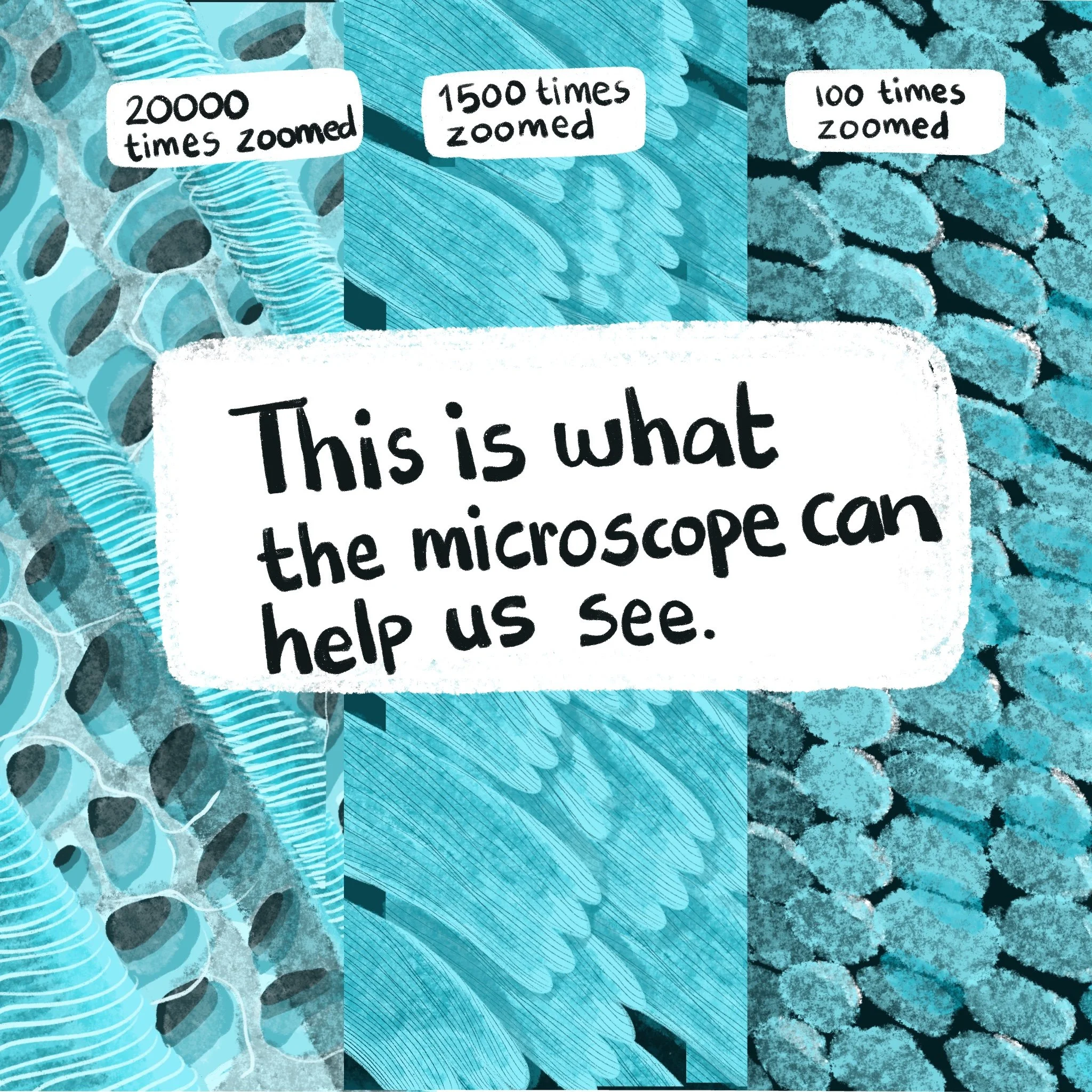 STEM Explainers — Wonder Yonder