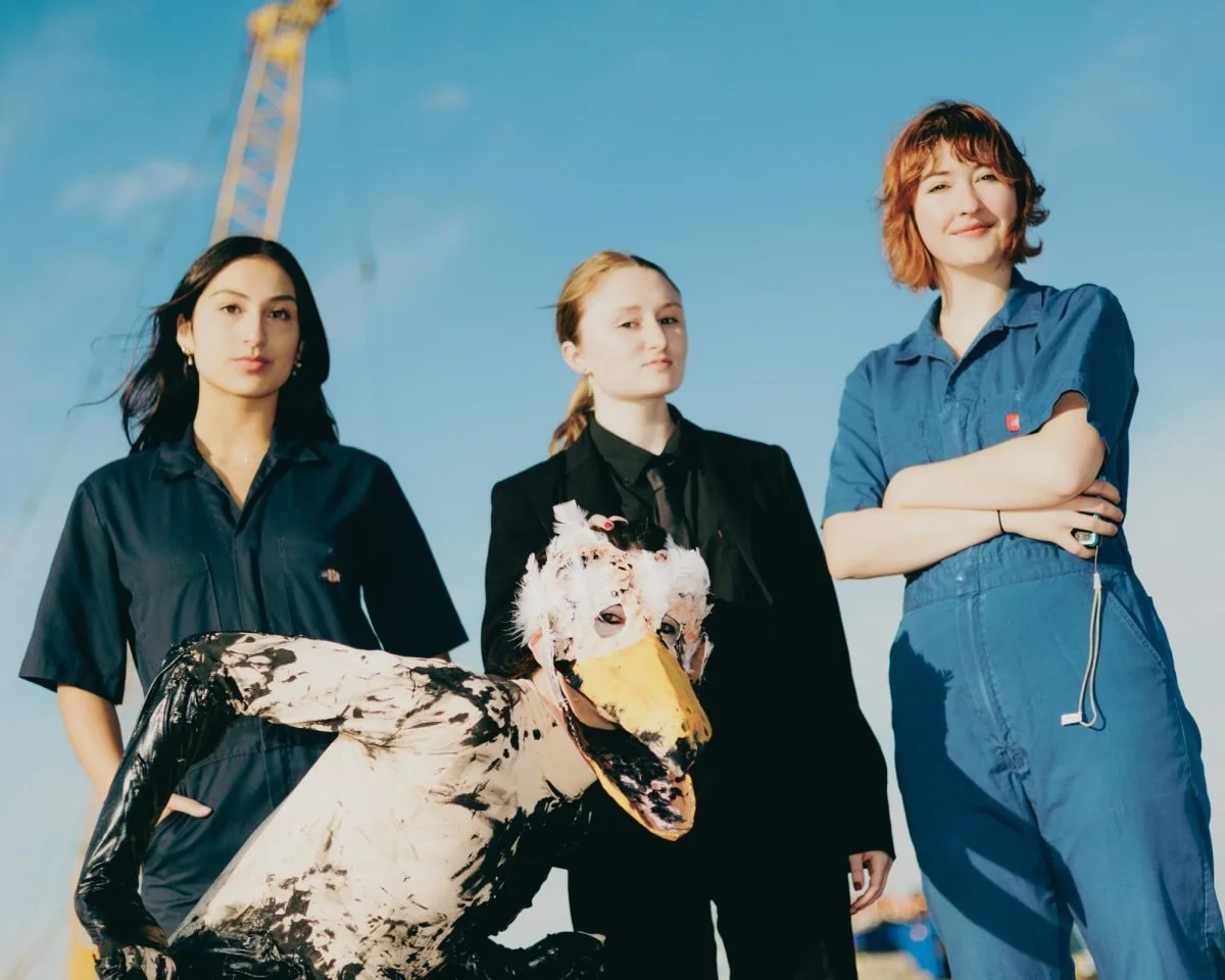 The Seagullman — Scene+Heard