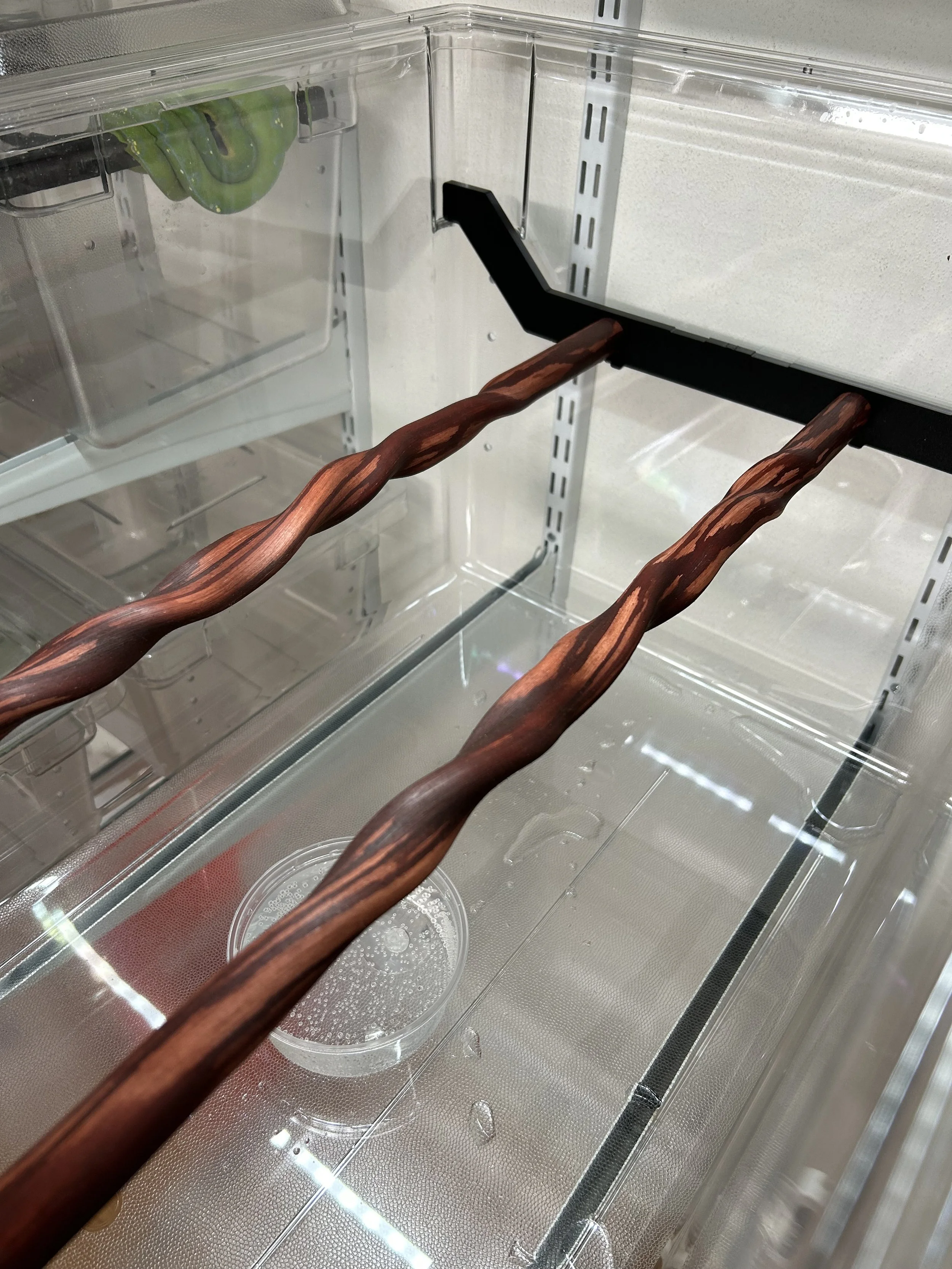 Large Cambro (182615CW125 Tub) Complete Perch — The Reptile Perch