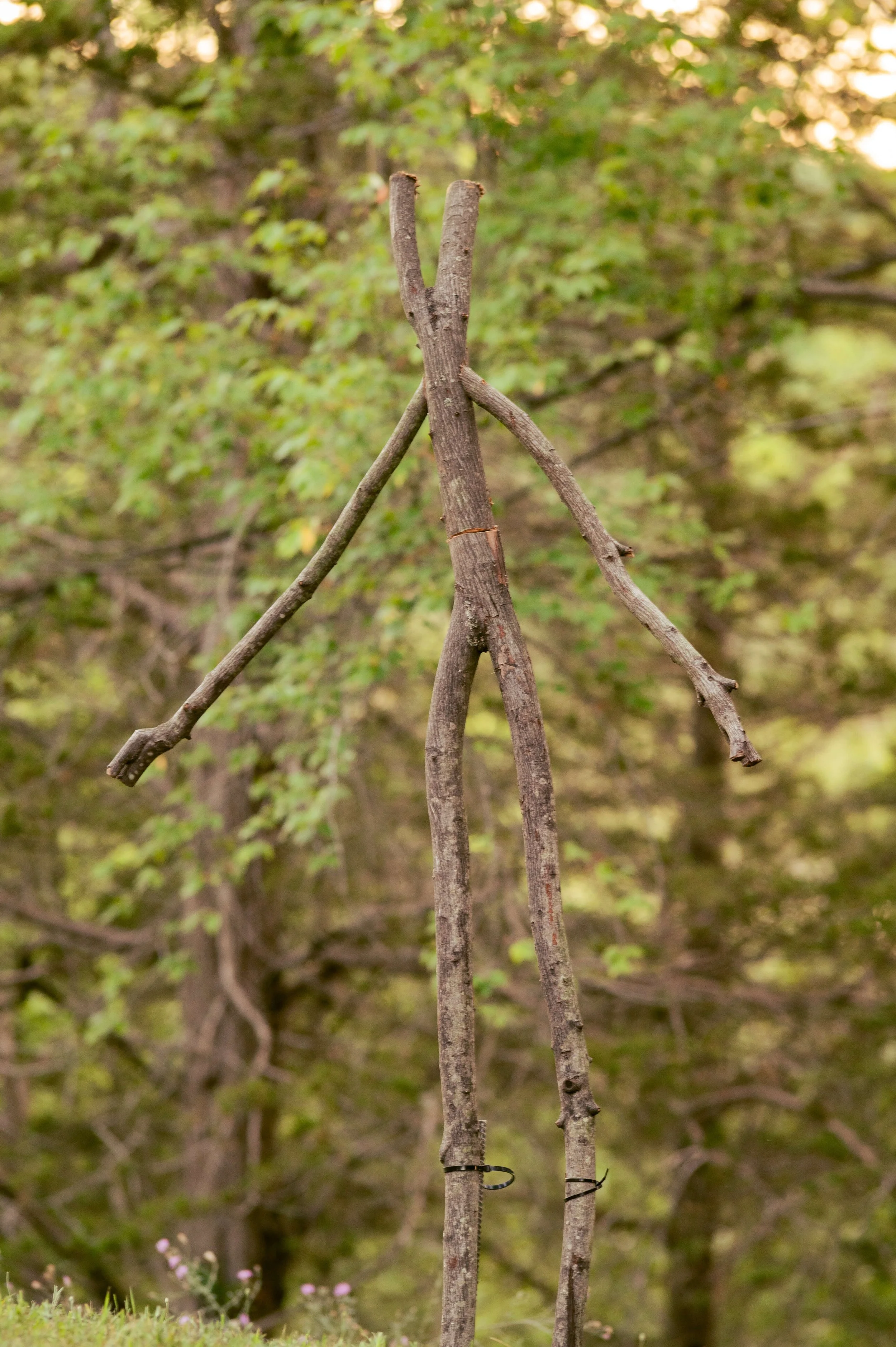 2022 by Kyle Tanner — Divine Pine Gathering