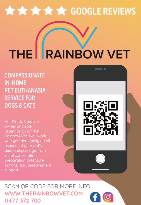 Vet Stationery Order Form — The Rainbow Vet