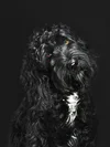 Advertising — Malin Lauterbach - Photographer