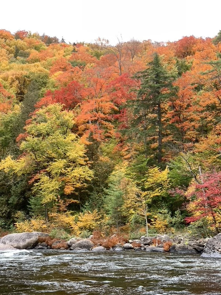 HIKING/SNOWSHOE/BACKCOUNTRY SKI — Adirondack Mountain Outfitters