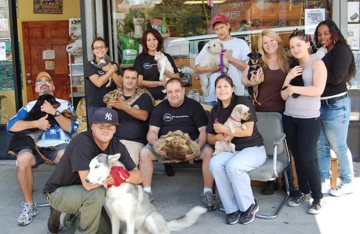 About — Sean Casey Animal Rescue