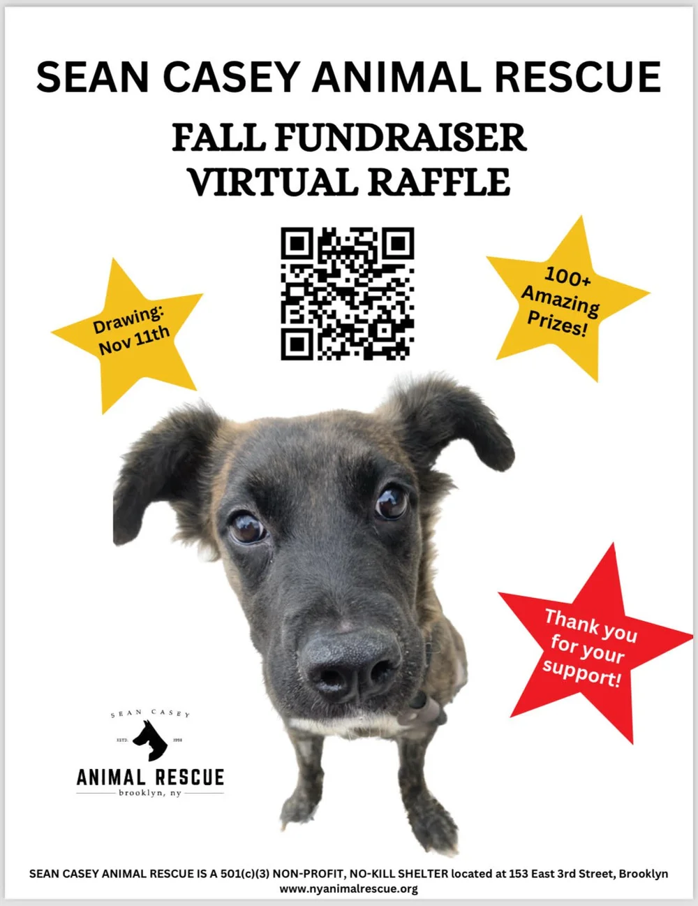 Animal Charity Posters