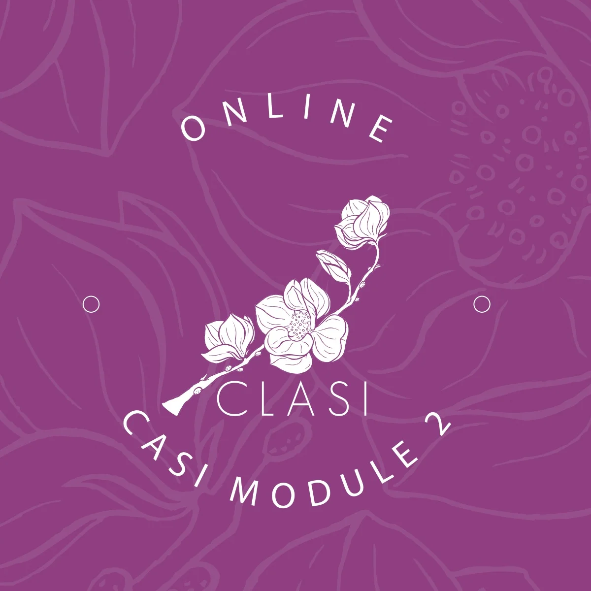 Module 2 - Comprehensive Assessment In ASI — CLASI