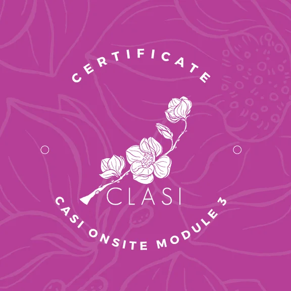 Module 3 - Hands-On Comprehensive Assessment In ASI — CLASI