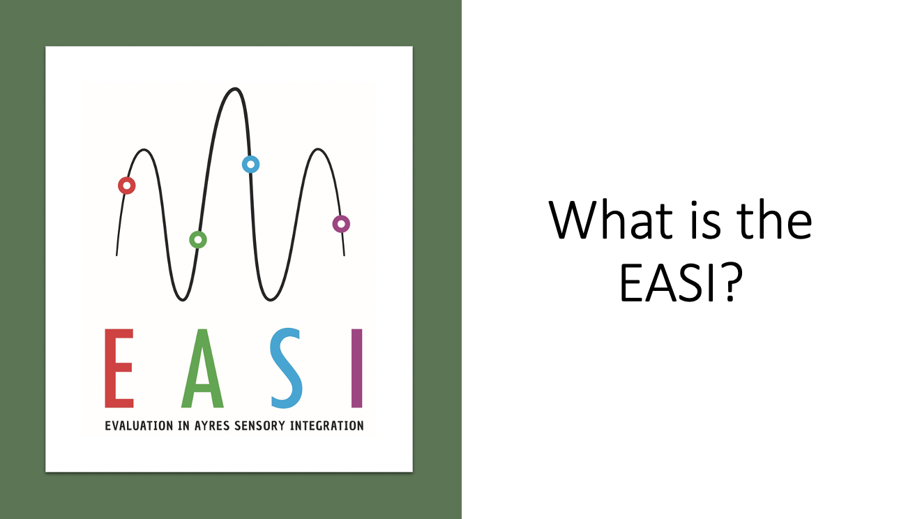 Learn About The Evaluation In Ayres Sensory Integration (EASI) — CLASI