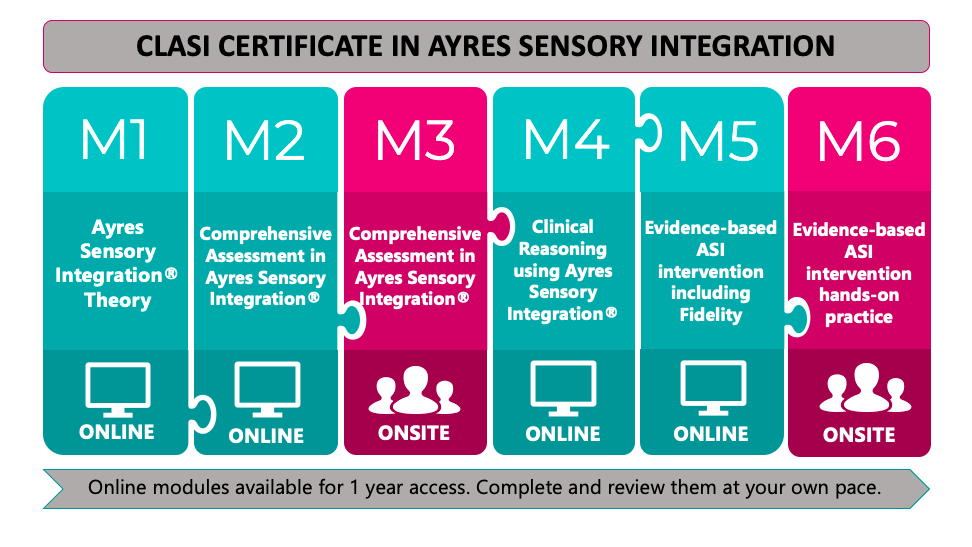 Learn About The Certificate In Ayres Sensory Integration — CLASI